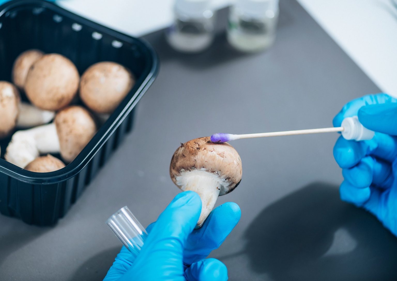 Gourmet Mushroom Farm - World's First Shipping Container Mushrooms