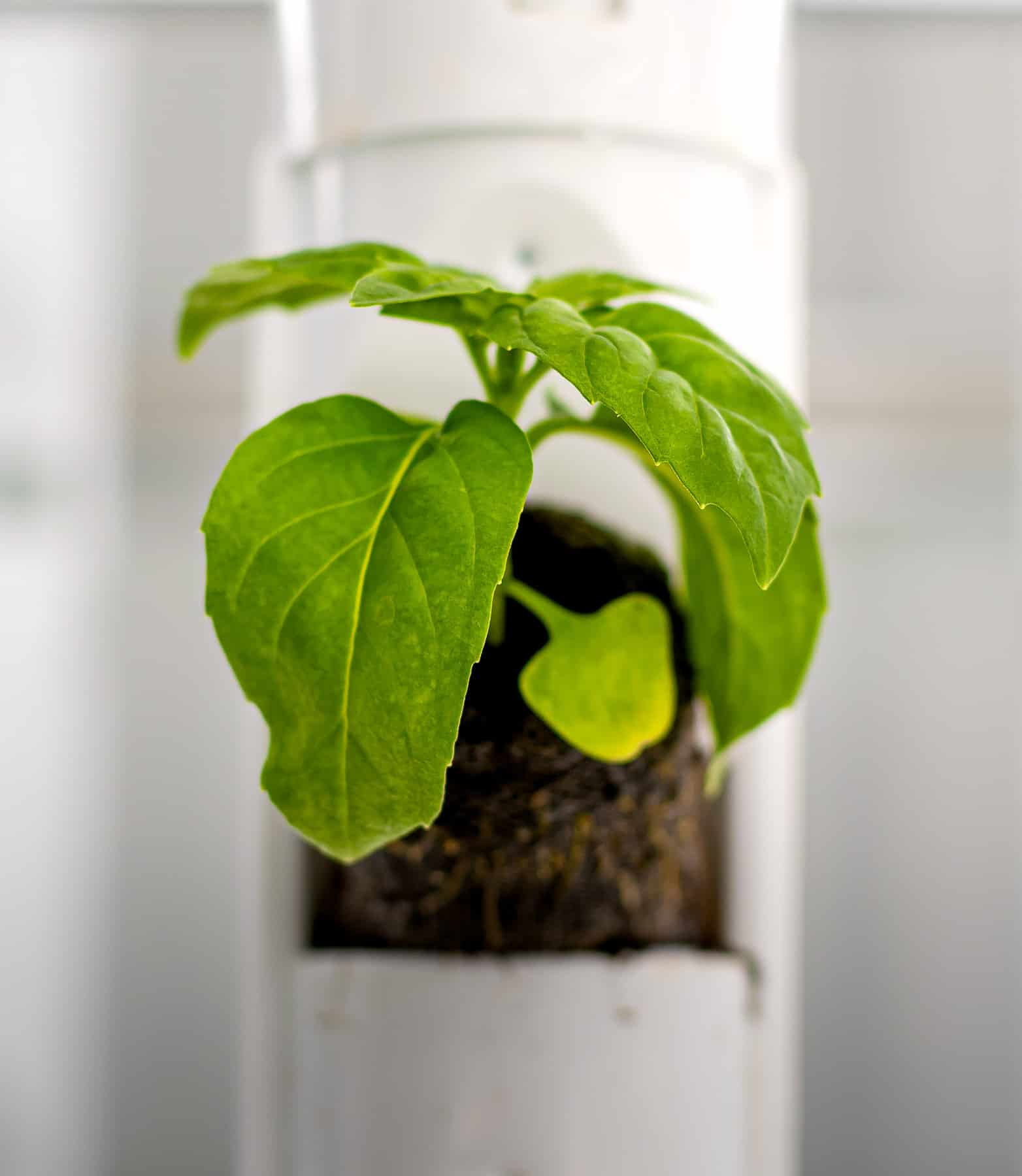 Contact Us | FarmBox Foods