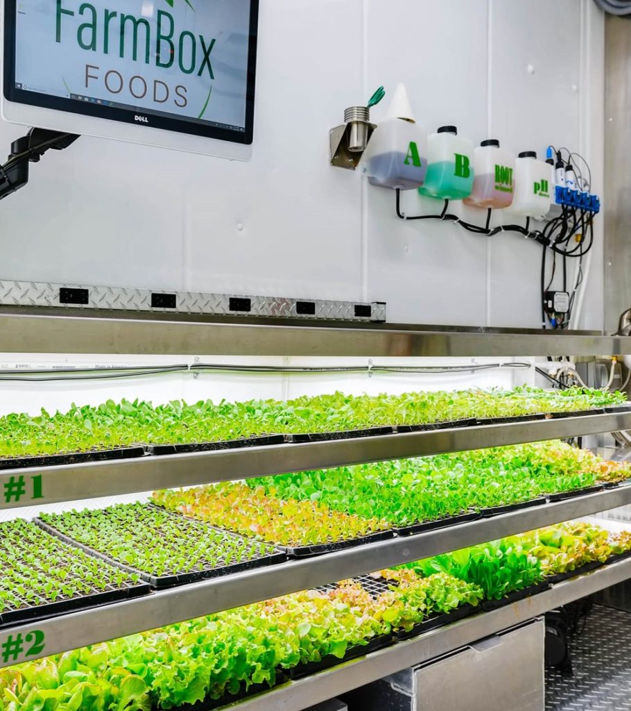 Vertical Hydroponic Farm Company | FarmBox Foods
