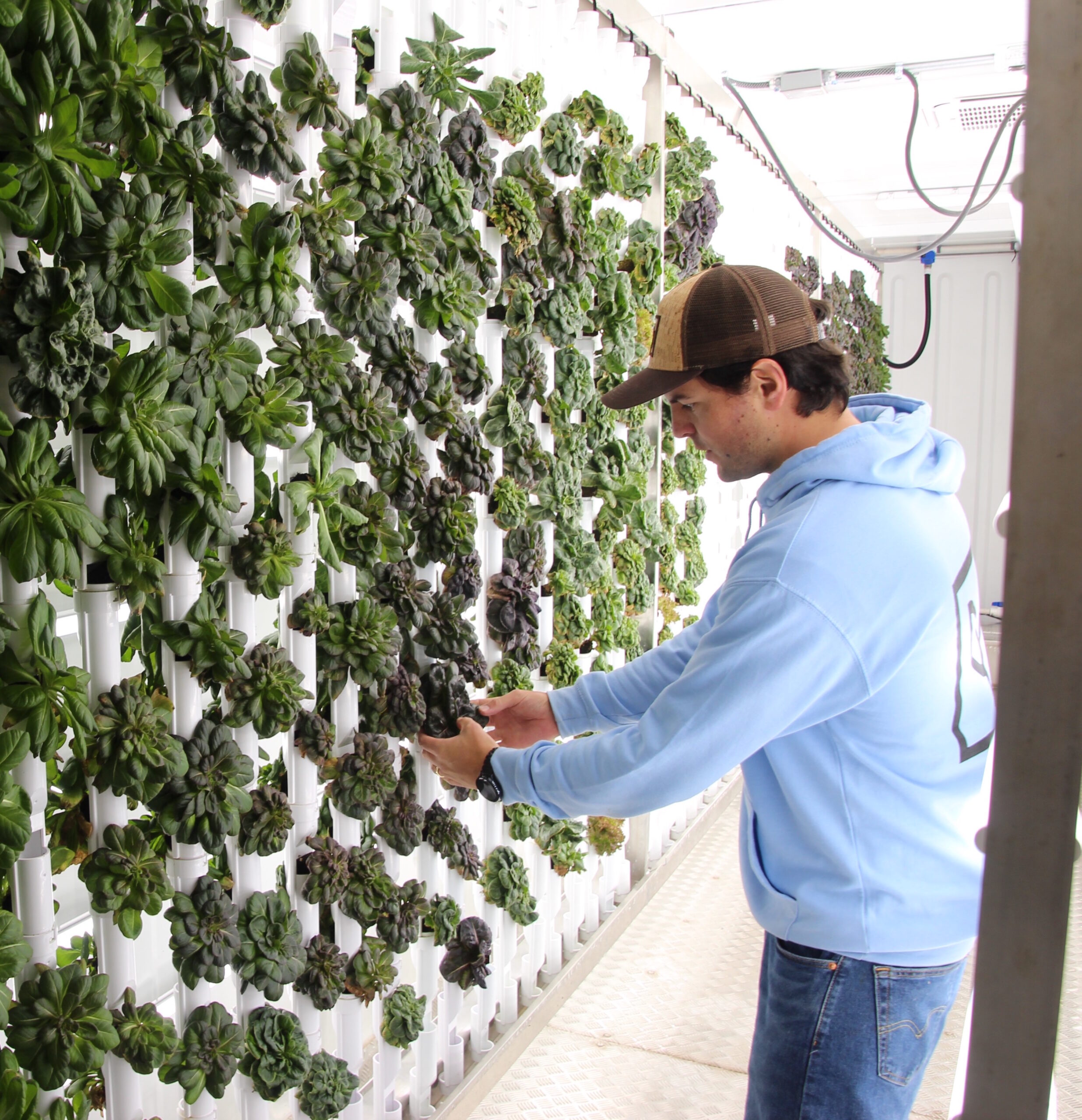 What 'Supporting Local Farms' Really Means - Hydroponic Container Farms ...