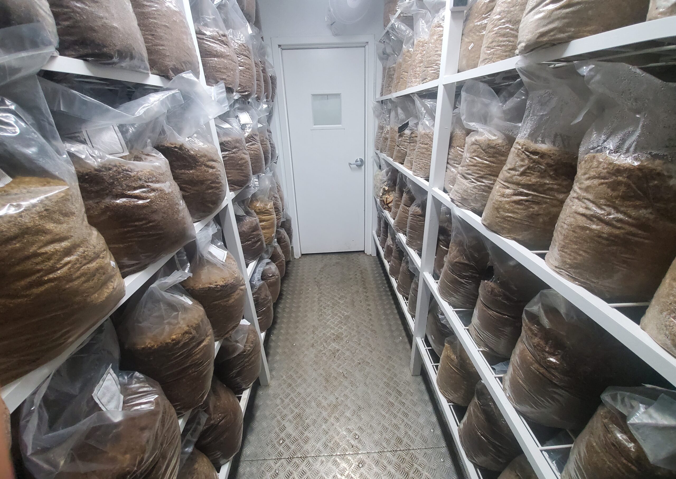 Using Spent Mushroom Substrate for Soil Remediation - Hydroponic ...