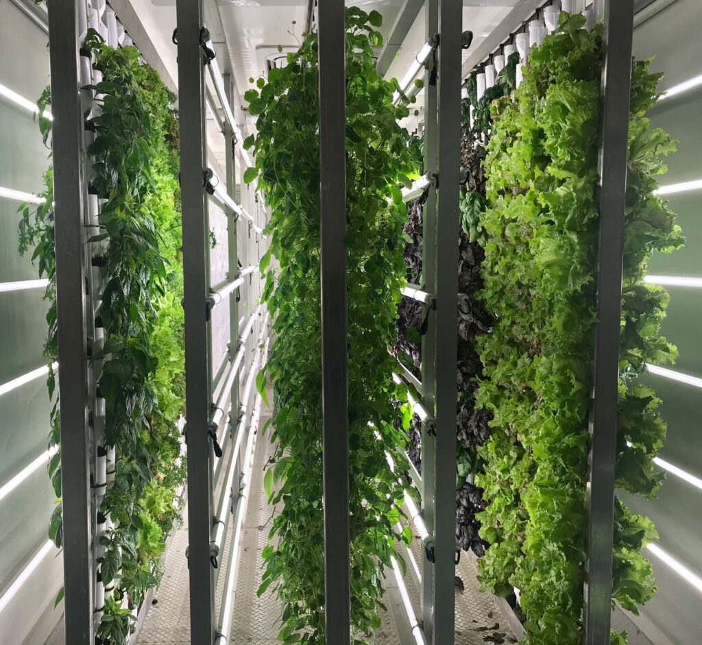 Hydroponic Container Farms and Mushroom Farms | FarmBox Foods