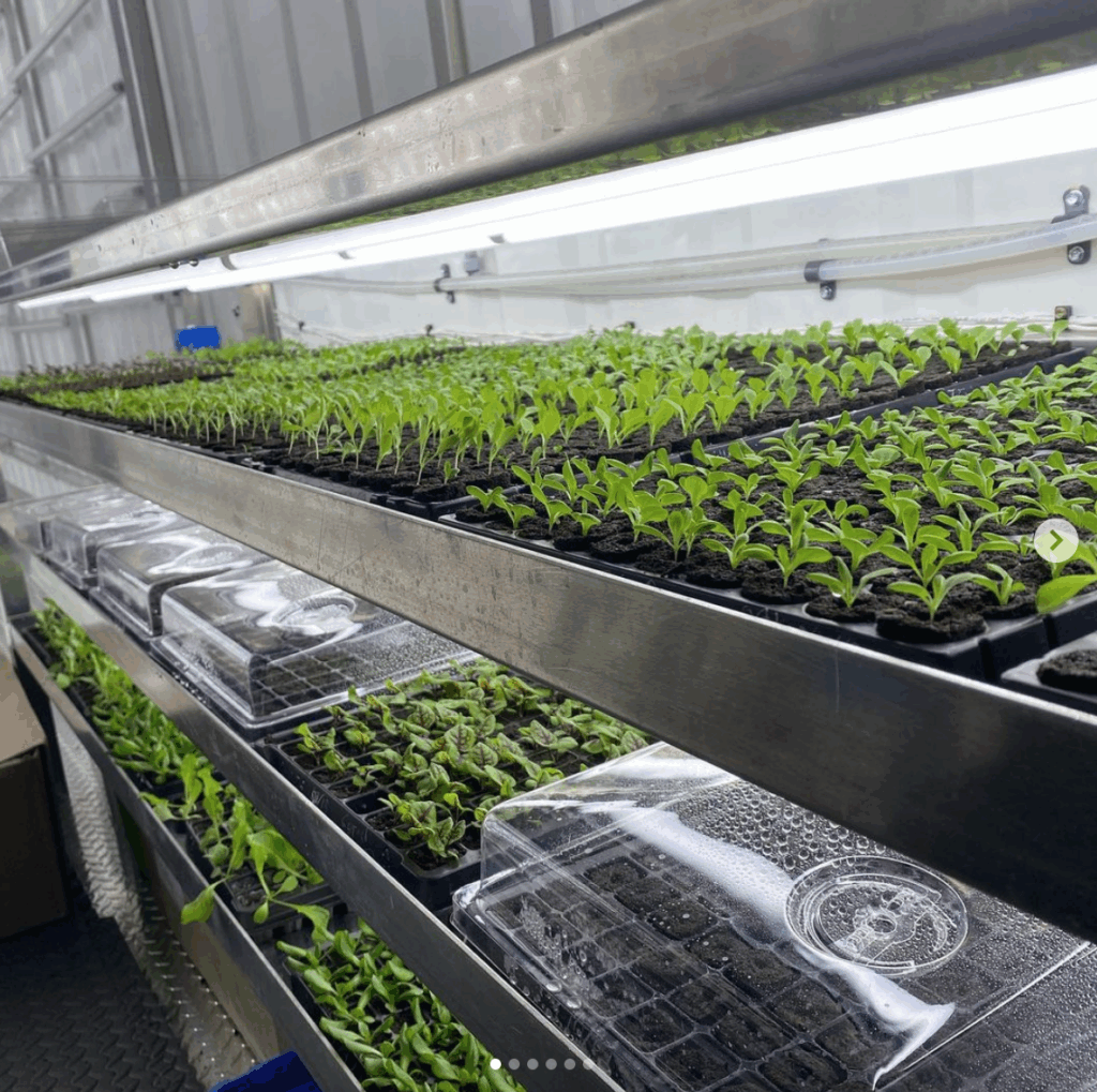Hydroponic Container Farms and Mushroom Farms | FarmBox Foods