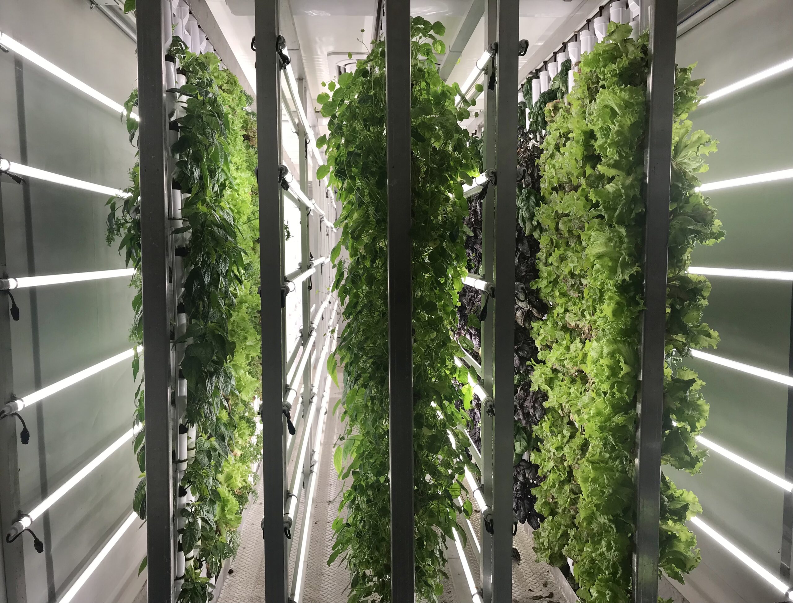 Hydroponic Container Farms and Mushroom Farms | FarmBox Foods